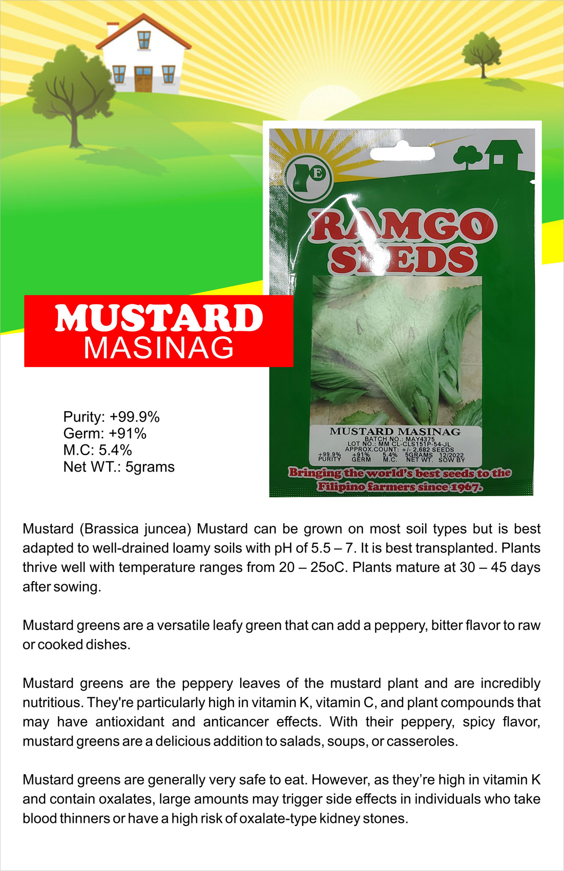 Ramgo Seeds | Mustard Masinag 5g