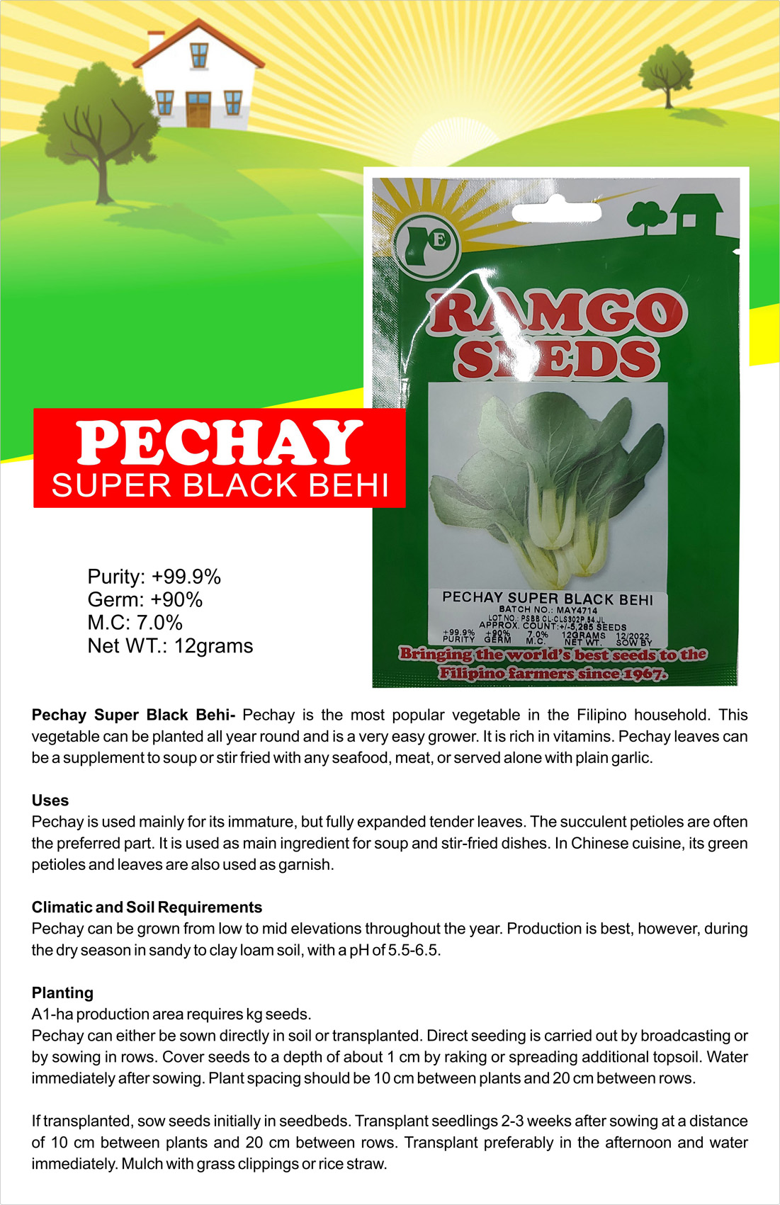 Ramgo Seeds | Pechay Super Black Behi – 12g